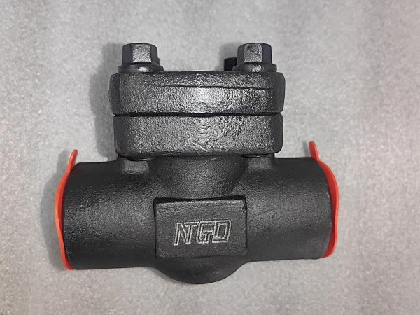 Piston Check Valve - Indusrtrial Valve Manufacturer