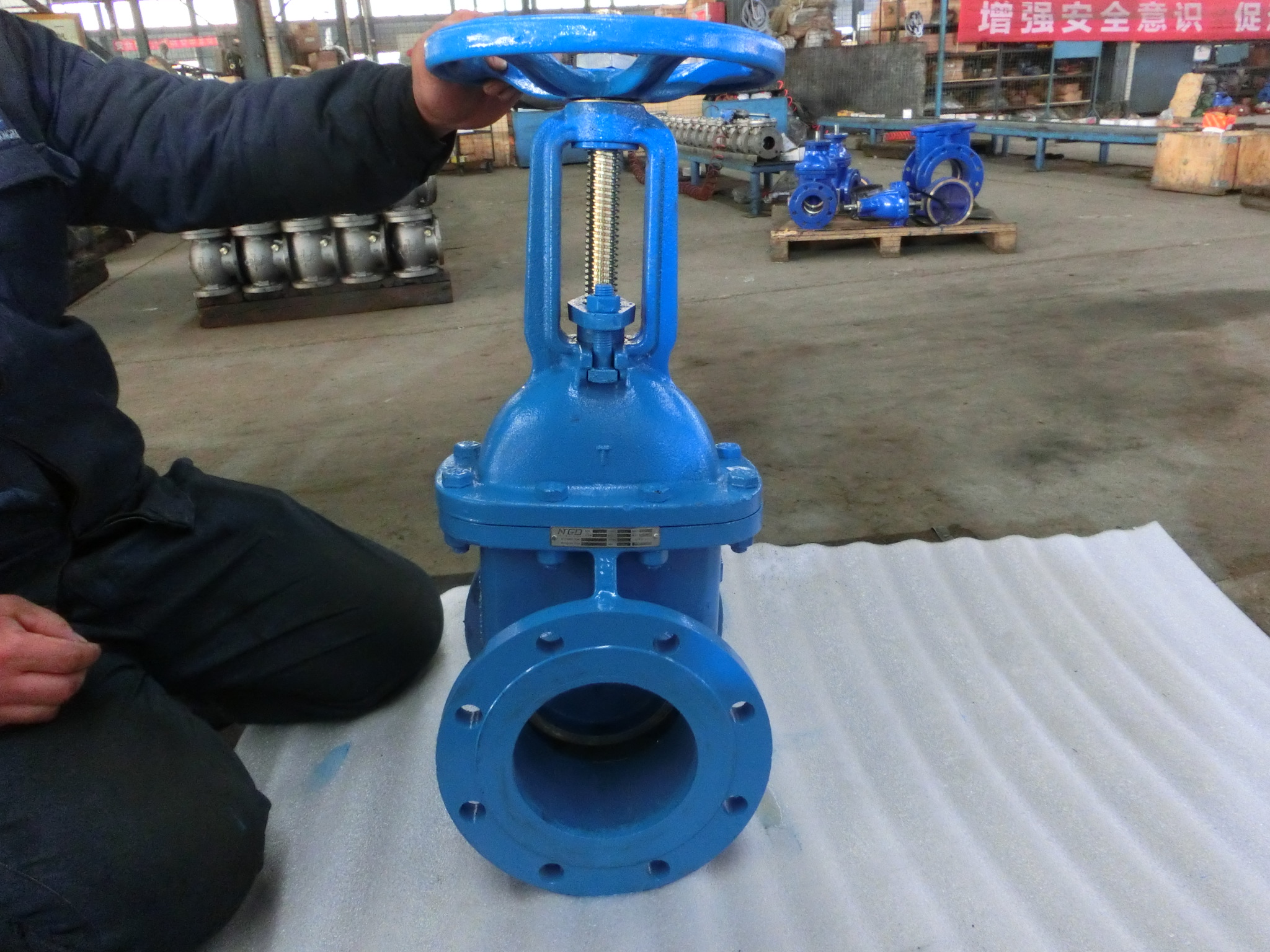 Exploring the Use of Resilient-Seated Gate Valves in the Oil and Gas ...